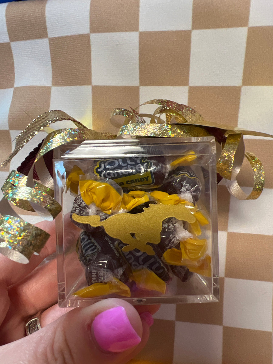 Candy Box- "Mustangs" Horse – The Silver Strawberry